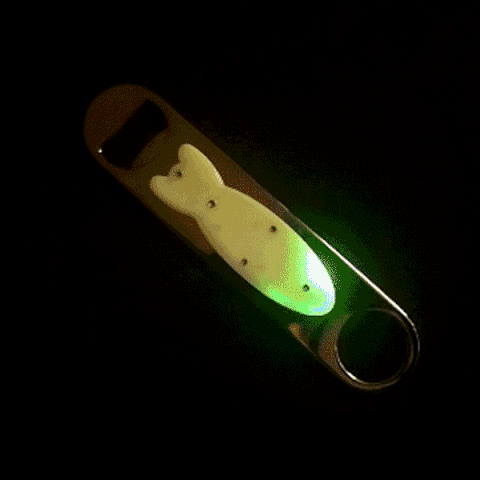 Bottle GIF - Find on GIFER