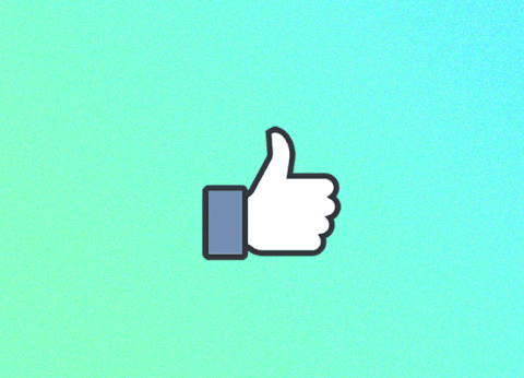Today of the day GIF - Find on GIFER