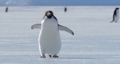 Link GIF - Find on GIFER