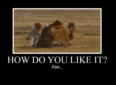 Revenge GIF - Find on GIFER