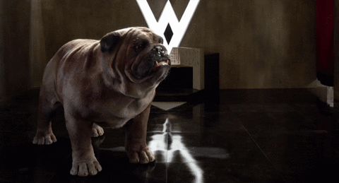 Best trailer part GIF - Find on GIFER