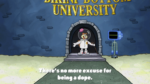 Pineapple invasion spongebob squarepants season 9 GIF - Find on GIFER