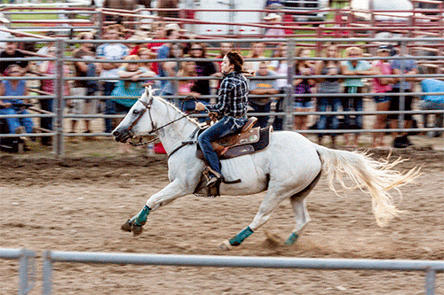 Barrel GIF - Find on GIFER