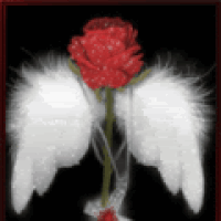 GIF alas - GIF animado en GIFER