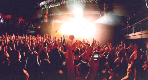 GIF cheering - animated GIF on GIFER