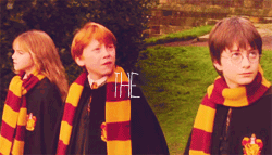 Harry potter harry ss GIF - Find on GIFER
