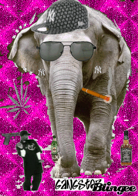 GIF elephant - animated GIF on GIFER