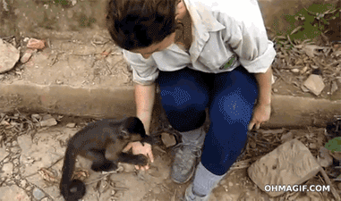 Allison holker GIF - Find on GIFER