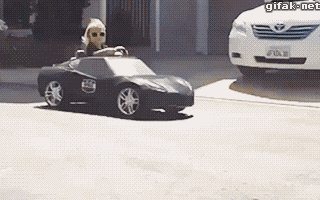 Fast cutest GIF - Find on GIFER