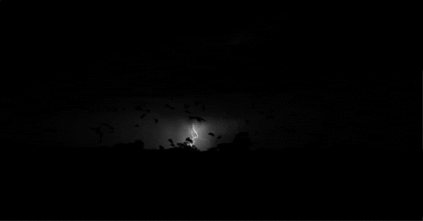Darkness GIF - Find on GIFER