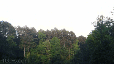 GIF nature lake reflection - animated GIF on GIFER