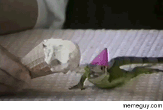 Eating GIF - Find on GIFER