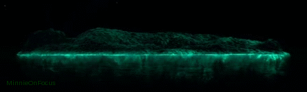 Life of pi night light GIF - Find on GIFER