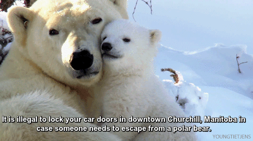 Trash GIF - Find on GIFER