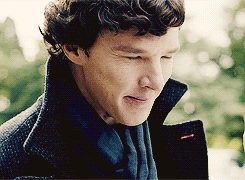Sherlock Ler Gif Rudolphina Roadtrip Zur Konrad Lorenz