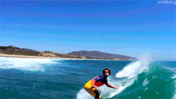 Surf passion life GIF - Find on GIFER
