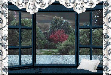 Window GIF - Find on GIFER