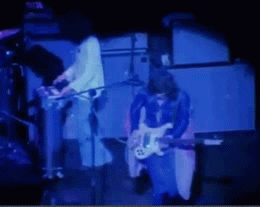 Yes band chris squire steve howe GIF - Find on GIFER