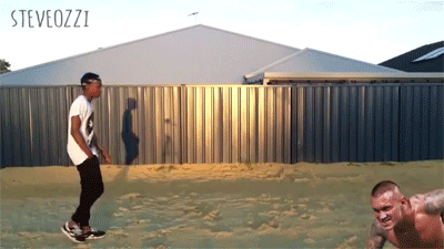 GIF bvs - animated GIF on GIFER