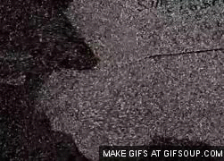 Late night GIF - Find on GIFER