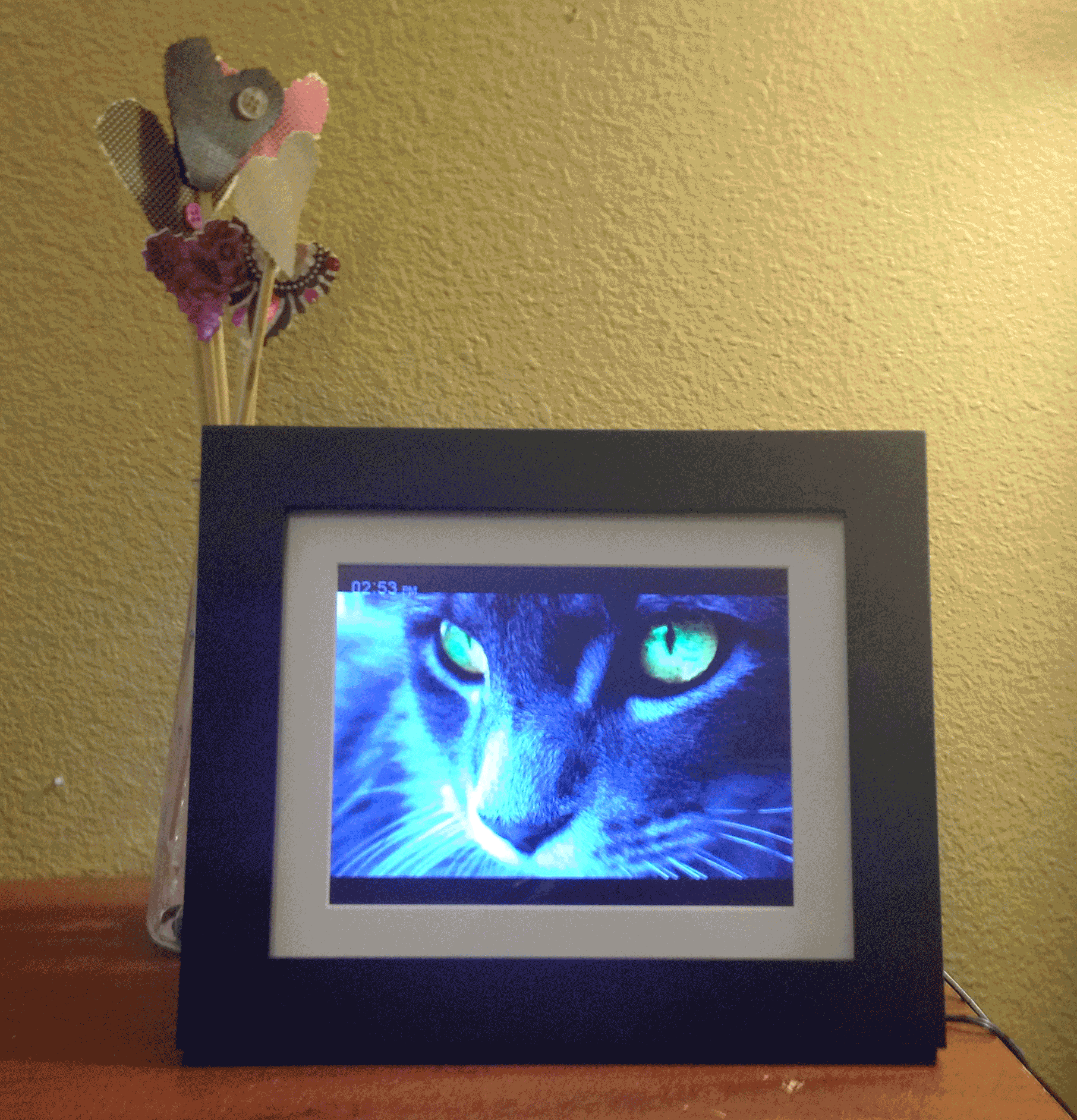 GIF photo use frame - animated GIF on GIFER