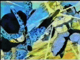 The cell GIF - Find on GIFER