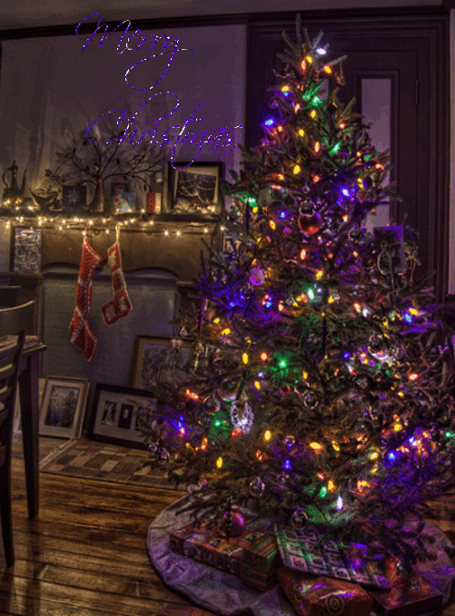 GIF misc - animated GIF on GIFER