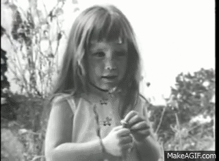 1964 GIF - Find on GIFER