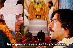 Wes anderson GIF - Find on GIFER