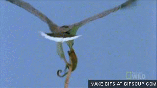 GIF snake - animated GIF on GIFER