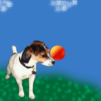 Russell GIF - Find on GIFER