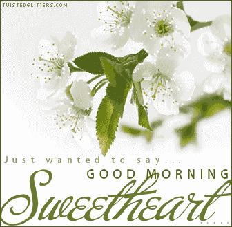 Sweet GIF - Find on GIFER