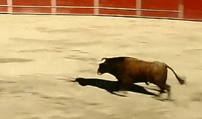 GIF land - animated GIF on GIFER