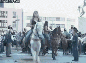 Horse fail fall GIF - Find on GIFER