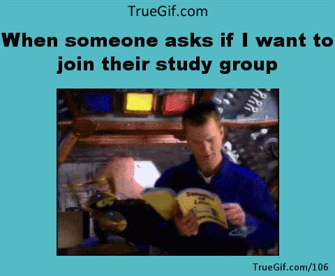 Study Group Funny
