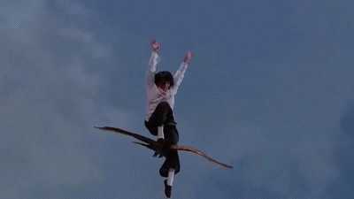 Kung fu GIF - Find on GIFER