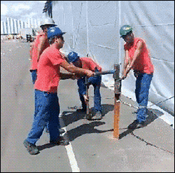 GIF teamwork - animated GIF on GIFER