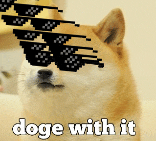 GIF doge - animated GIF on GIFER