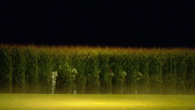 Field of dreams GIF - Find on GIFER
