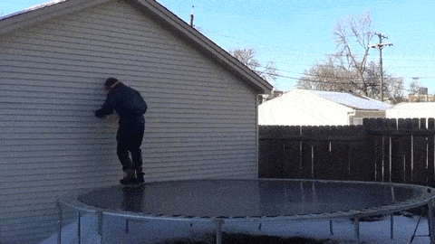 GIF crazy - animated GIF on GIFER