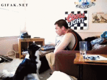 Pinball GIF - Find on GIFER