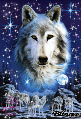 Гифка blingee гиф картинка, скачать анимированный gif на GIFER