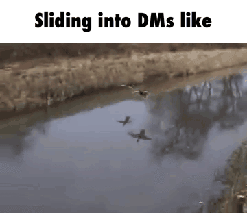 Slide GIF - Find on GIFER