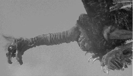 The giant GIF - Find on GIFER