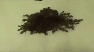 GIF trippy mandala - animated GIF on GIFER