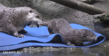 Water GIF - Find on GIFER