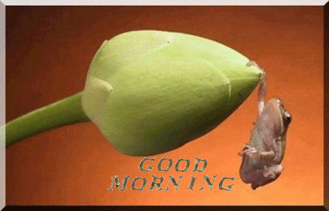 Bud GIF - Find on GIFER