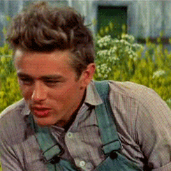 The east GIF - Find on GIFER