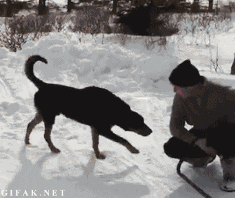 GIF science girlfriends - animated GIF on GIFER