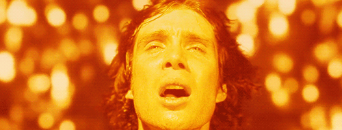 GIF into the wild - animated GIF on GIFER